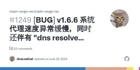 Bug V166 系统代理速度异常缓慢，同时还伴有 Dns Resolve Failed、io Timeout、no