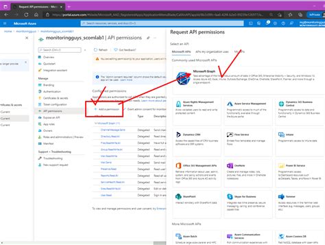 setup api permission on azure support services
