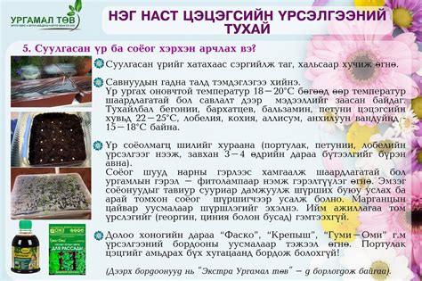 ☘️ НЭГ НАСТ ЦЭЦЭГСИЙН ҮРСЭЛГЭЭНИЙ Экстра Ургамал Төв