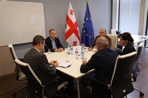 ლევან ხაბეიშვილი და პეტრე ცისკარიშვილი ავსტრიის ელჩს შეხვდნენ