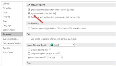 How To Show Insert Options Buttons Excelnotes