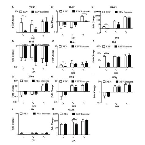 Expression Profiles Of Immune Related Genes In Infected Cef Cells
