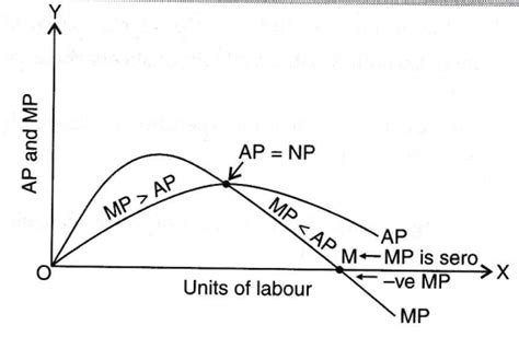 explain the relationship between ap and mp with the help of a diagram