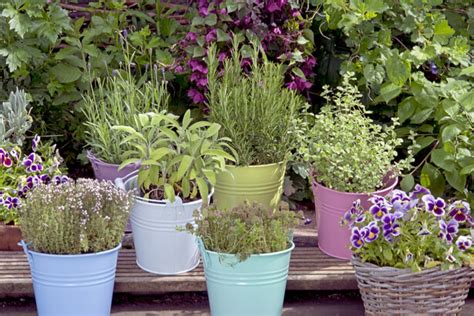 Comment Et Pourquoi Réaliser Une Spirale Aromatique