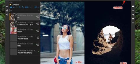 Gui Youget 双剑合并（you Get Youtube Dl），没有下载不了的视频 小众软件下载页面