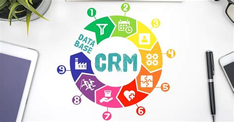 Tolulope Bamiro On Linkedin Crm Salesstrategy Dataanalytics Businessgrowth