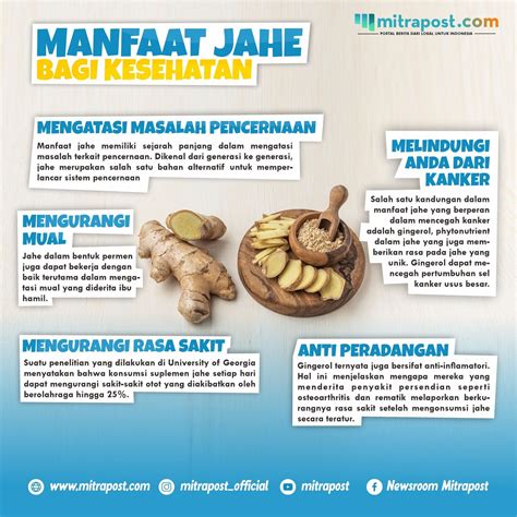Kandungan Gizi Dan Manfaat Jahe Bagi Kesehatan Buah S Vrogue Co