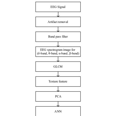 flow diagram for eeg signal analysis download scientific diagram