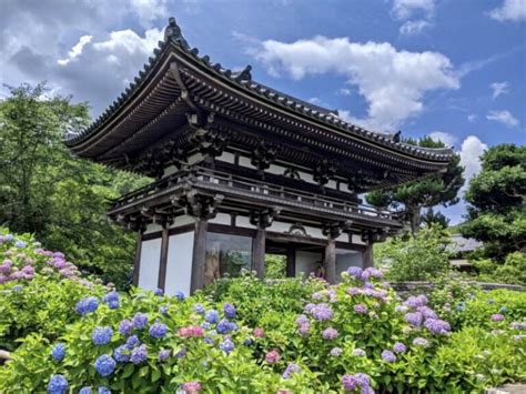 【華観音寺】京都・福知山のあじさい寺の見どころは？1万株の紫陽花に、可愛い仏様に、花手水など