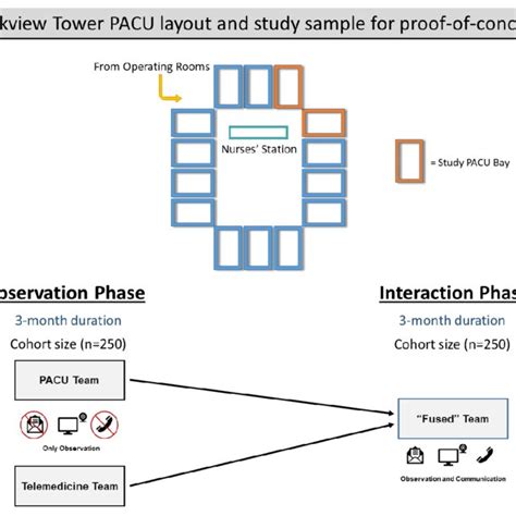Allocation Of Sample Size And Post Anesthesia Care Unit Pacu Layout