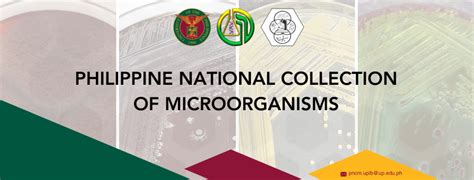 Haynayan Philippine Biology Updates Training Microalgae Workshop