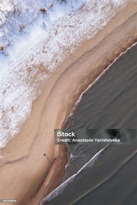 그단스크의 추운 발트해 눈 해변에서 겨울을 걷는 남자 눈 덮인 해변과 모래 언덕의 공중 전망과 드론으로 포착한 어둡고 잔잔한 바다 자연 풍경 폴란드 관광 0명에 대한 스톡