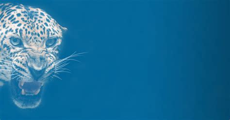 Ibm I As400 Modernization Reimagined Holistic