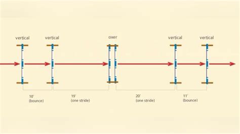 Get In Shape With This Vertical Line Graph