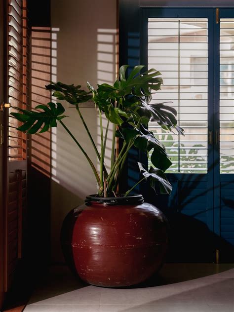 A Car Accident Led Daniel Lim Of Sunleaf Shutters To Discover His Love For Interior Design ‒ Cna