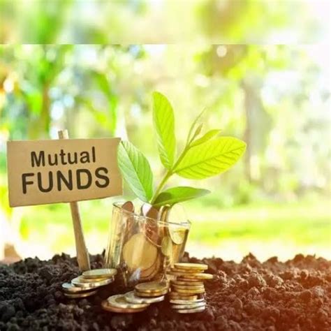 Satyendra Saini Youtube