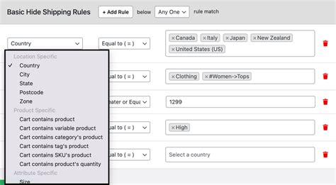 Hide Shipping Method For Woocommerce Thedotstore