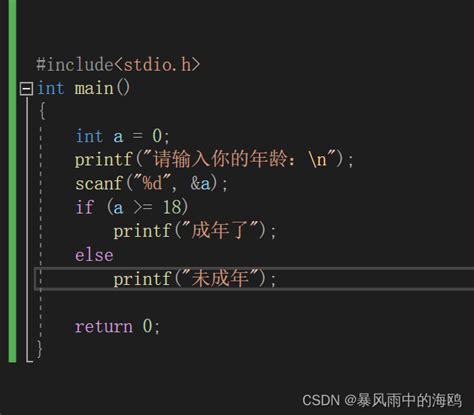 c语言的分支与循环 csdn博客