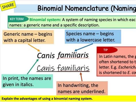 Ocr A Level Bio Classification Lesson Teaching Resources