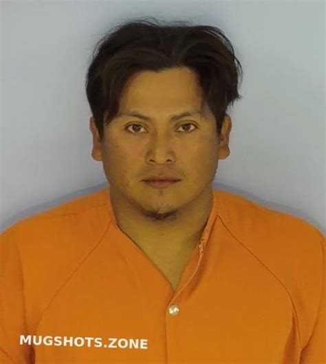 Perez Aguilar Erlin Adonay 02 26 2025 Walton County Mugshots Zone