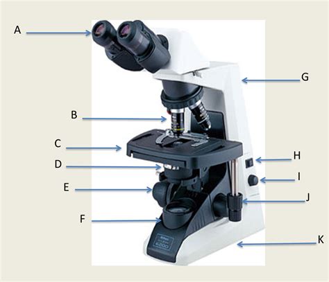 Parts Of A Compound Microscope Diagram Quizlet