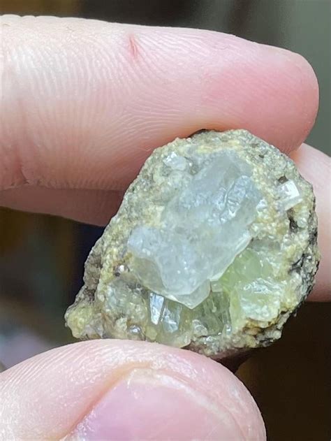 Bryozoan Fossil Filled With Calcite Crystals R Rockhounds