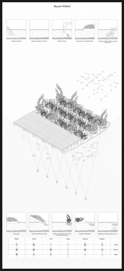 Types Of Trees Chart With Names Printable Coloring Pages Free