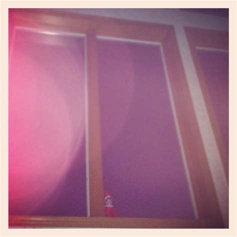 Elfya Hanging Out On Our Second Story Windows