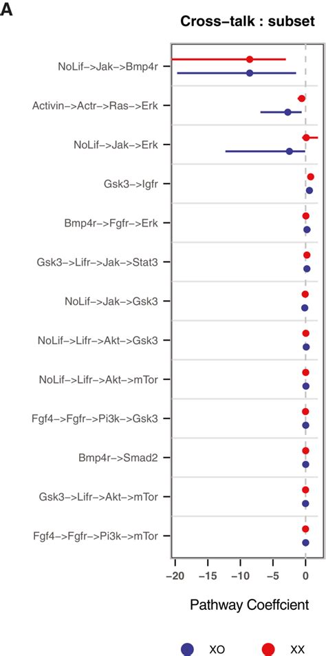 Modeling Unveils Sex Differences Of Signaling Networks In Mouse Embryonic Stem Cells Molecular