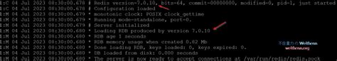 fatal can t initialize background jobs redis ~ 不自量力 の weithenn