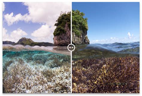 程序猿必备的15款web前端动画插件七 Csdn博客