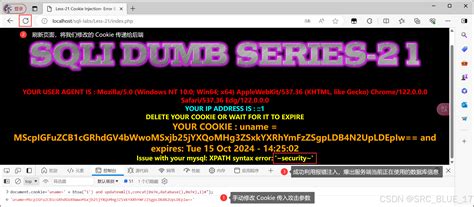 sql injection sql 注入 —— 加解密注入 加密注入 csdn博客