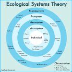 Ecological Perspective Definition And Examples