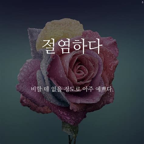 새로운 말 절염하다絕艶 종종 인터넷 등에서 저렴하다의 잘못된 표기로 장난스레 사용되는 이 단어는 뜻밖에도 실제로 있는 표현이다 물론 의미는 다르다
