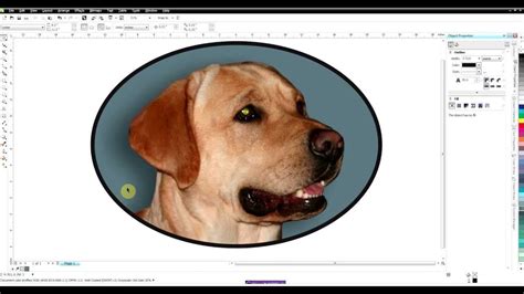Discover 21 Corel Tutorials And How To Draw Flowers In Corel Draw Ideas Graphic Design Corel
