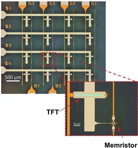 Oxide Based Neuromorphic Devices Infrachip
