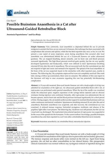 Pdf Possible Brainstem Anaesthesia In A Cat After Ultrasound Guided Retrobulbar Block