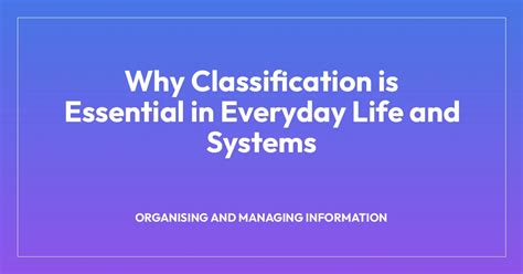 Why Classification Is Essential In Everyday Life And Systems Lis