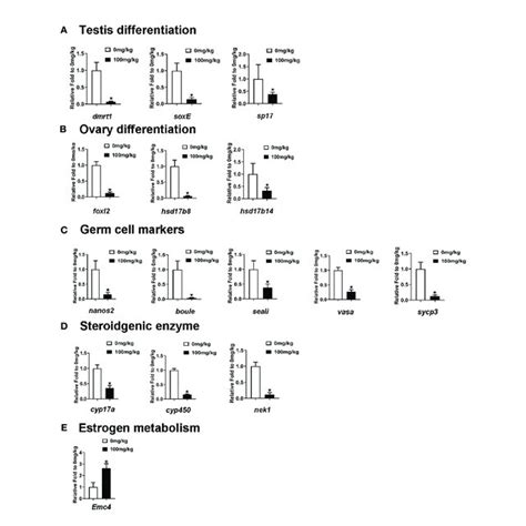 Rt Qpcr Measured The Mrna Levels Of Spata4 And Other Sex Related Download Scientific Diagram