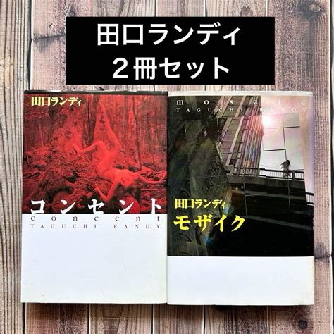 【田口ランディ2冊セット】「コンセント」「モザイク」 メルカリ