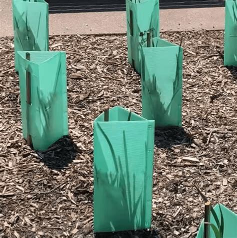 Plastic Tree Protector Tree Guard And Biodegradable