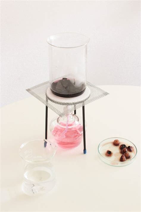 Margarita Talep Develops Algae Based Alternative To Plastic Packaging Feel Desain Your Daily