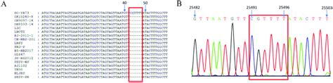 Multiple Sequence Alignment Of E Gene Of Pedv Strains A And Download Scientific Diagram