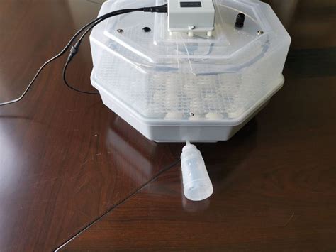 China Chicken And Duck Egg Incubator Manufacturers Suppliers Factory