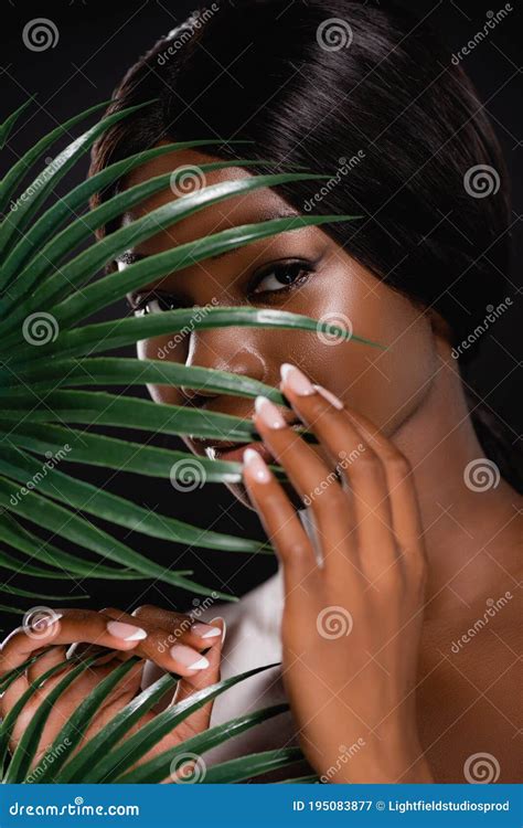 African Naked Woman Behind Green Palm Stock Image Image Of Tropical Wellness