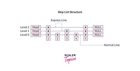 Skip List In Data Structure Scaler Topics