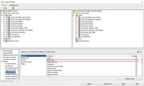How To Save Options When Syncronize With Data Dictionary Oracle Forums