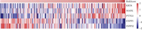 construction and verification of prognostic models based on