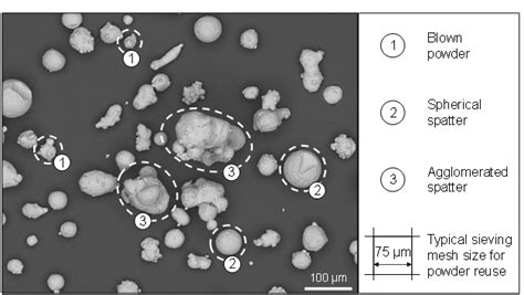 Sem Image Of Collected Spatter Particles From Lbm Processing Of Download Scientific Diagram
