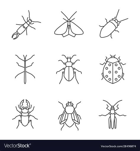 Insects Linear Icons Set Royalty Free Vector Image